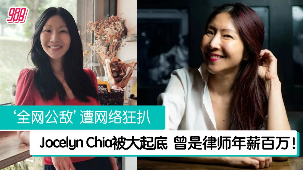 曾是企业律师年薪百万 Jocelyn Chia惹祸后身份被起底！ – 988