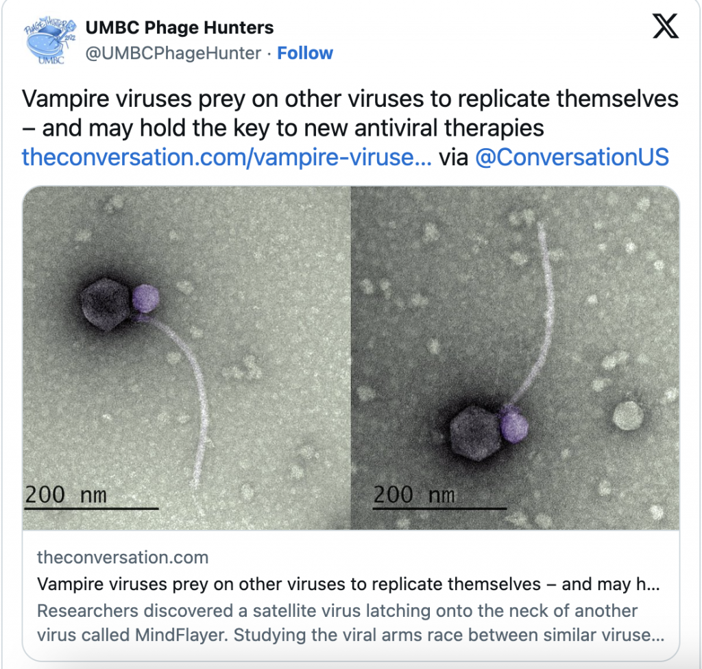 美首度发现”吸血鬼病毒“ 寄生状态曝光学者也震撼！ – 988