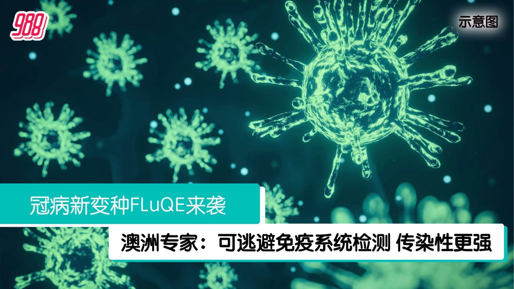 高传染性冠病新变种FLuQE来袭！ – 988