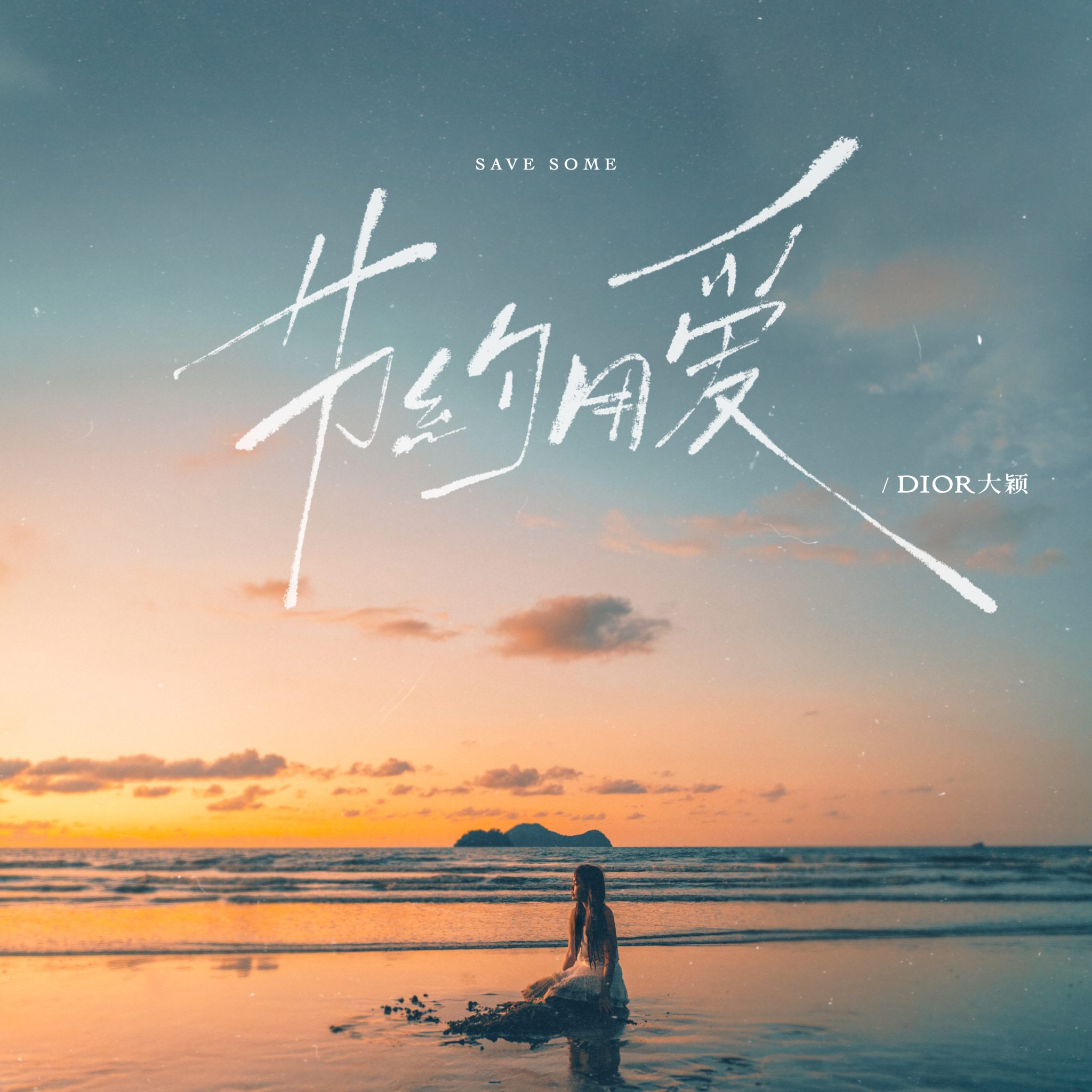 节约用爱｜Dior 大颖 – 988